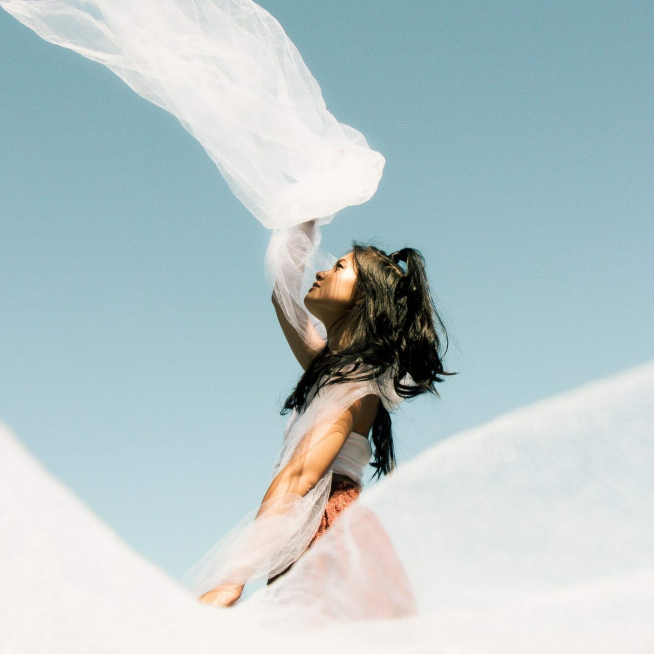 Operating model - Sofigate